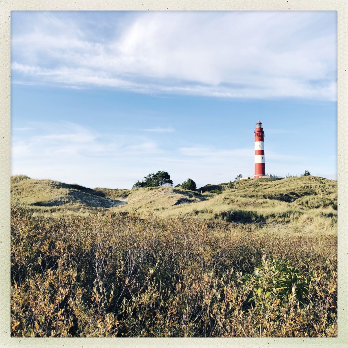 Amrum Urlaub: die besten Reisetipps für die Nordfriesische Insel ...